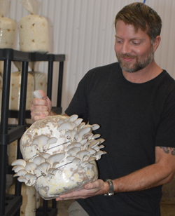 Uncommon farming: Columbia County couple raises unique mushrooms | News ...